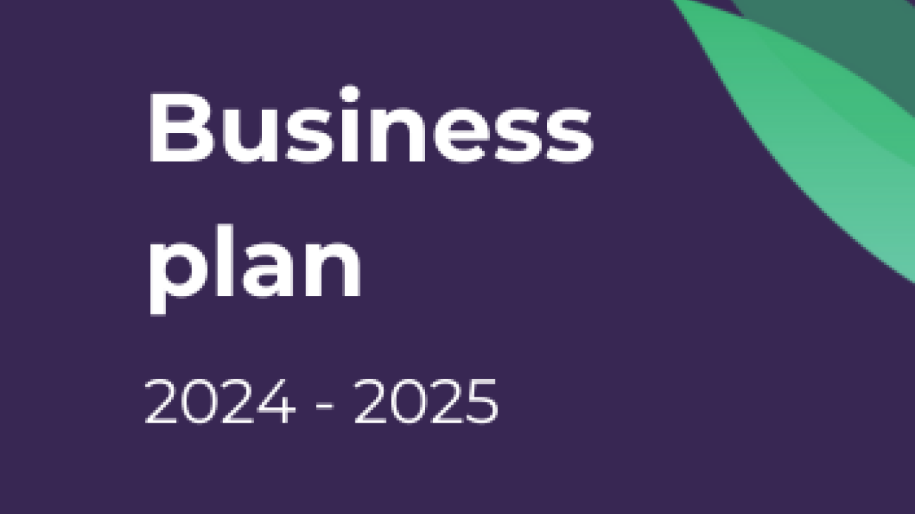 Annual business plan now published | Salix Finance
