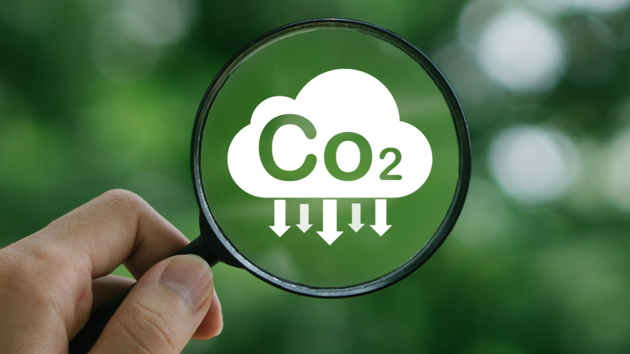 University reduces annual emissions thanks to scheme